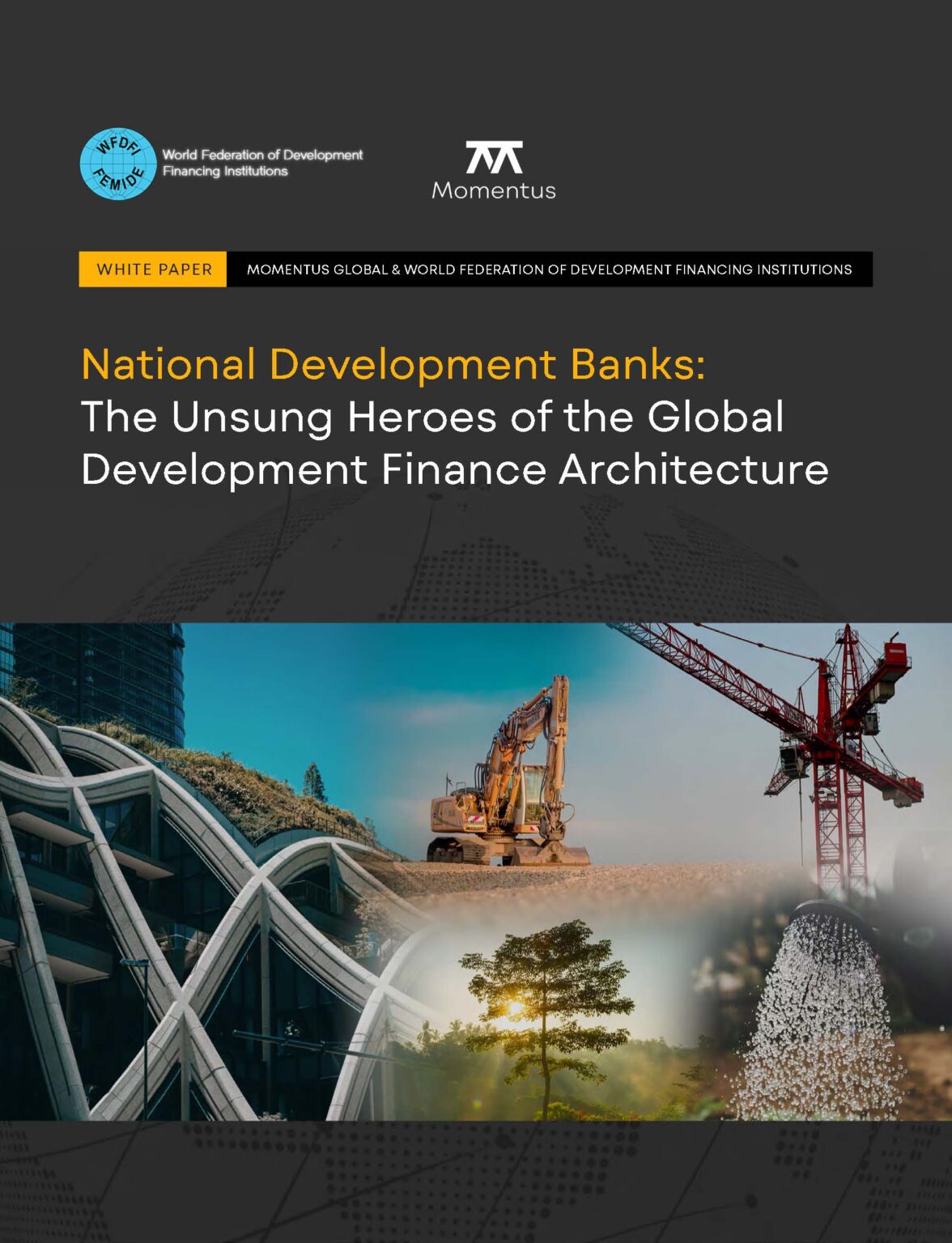 NDBs: The Unsung Heroes of Global Development Finance Architecture ...